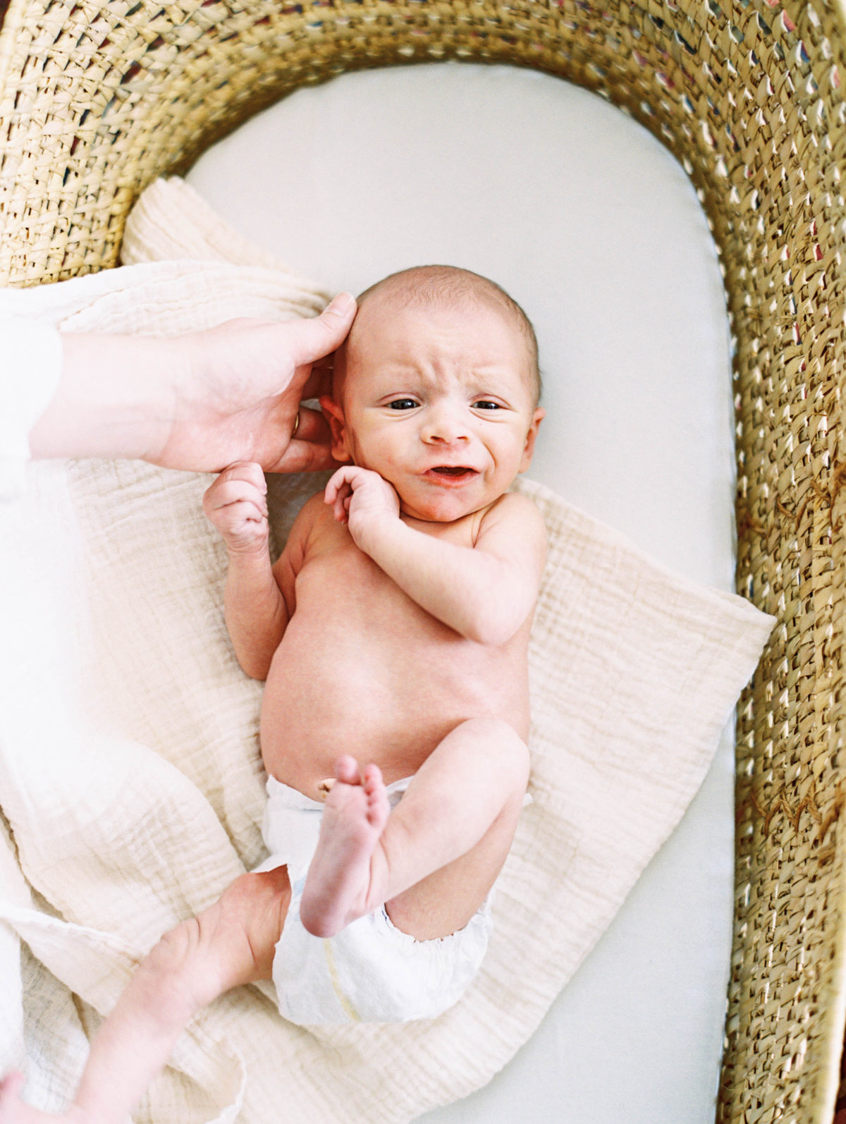 Ace’s Newborn Photos – Chelsea Bird